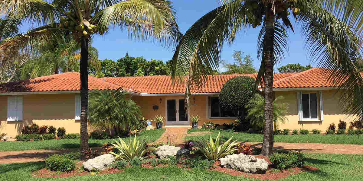 How To Landscape Around a Tree With Exposed Roots