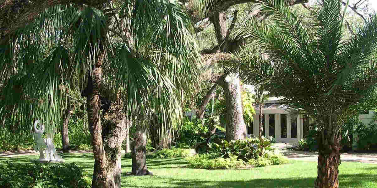 How to Plan Tree Placement on Your Coral Gables Property